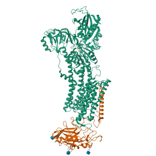 RCSB PDB - 7W4A: Cryo-EM structure of the gastric proton pump complexed ...