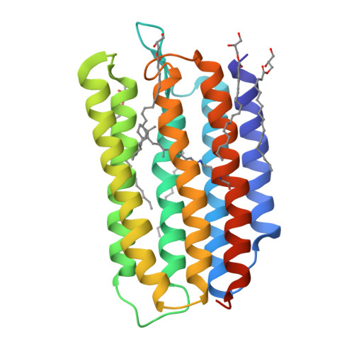 RCSB PDB - 7W74: Crystal structure of DTG rhodopsin from Pseudomonas putida