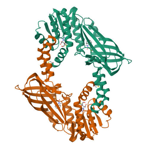RCSB PDB - 6WAD: Crystal Structure of Human Protein arginine N ...