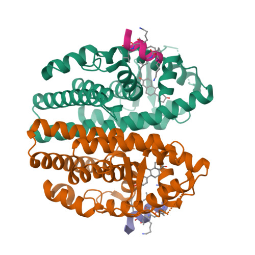 RCSB PDB - 5WGQ: Estrogen Receptor Alpha Ligand Binding Domain in Complex with Estradiol and ...