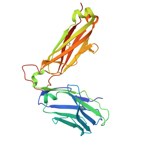 RCSB PDB - 6WL2: preTCRbeta-pMHC complex crystal structure