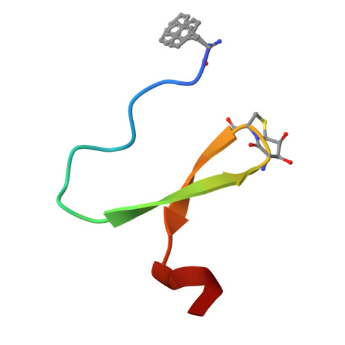 RCSB PDB - 2WW7: foldon containing beta-turn mimic