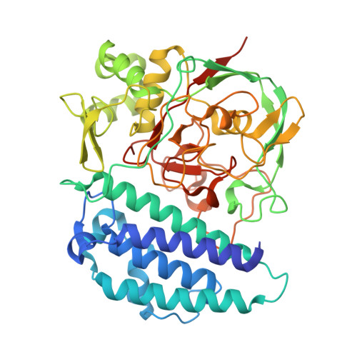 RCSB PDB - 4X8B: Ergothioneine-biosynthetic sulfoxide synthase EgtB ...