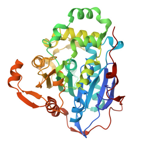RCSB PDB - 5XAV: Structure of PhaC from Chromobacterium sp. USM2