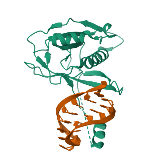 RCSB PDB - 2XLI: Crystal structure of the Csy4-crRNA complex ...