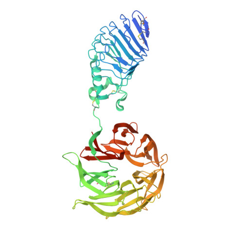 RCSB PDB - 5Y31: Crystal structure of human LGI1-ADAM22 complex