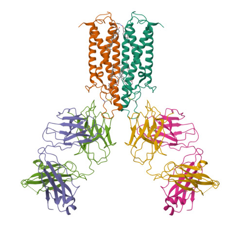 RCSB PDB - 6Y92: Structure of full-length CD20 in complex with ...