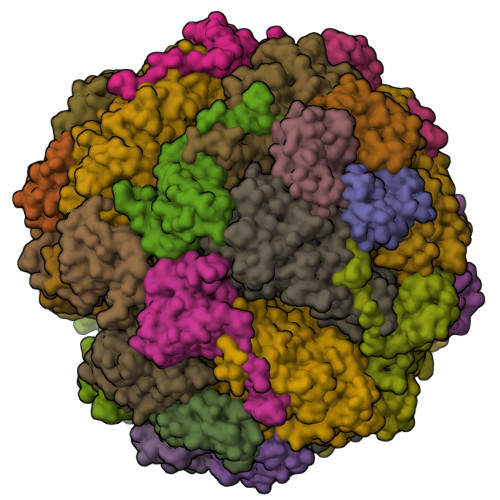 RCSB PDB - 6YL3: High resolution cryo-EM structure of urease from the ...