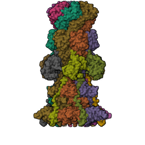 PDB 6YT5 | Chain CRYO-EM STRUCTURE OF T7 BACTERIOPHAGE DNA ...