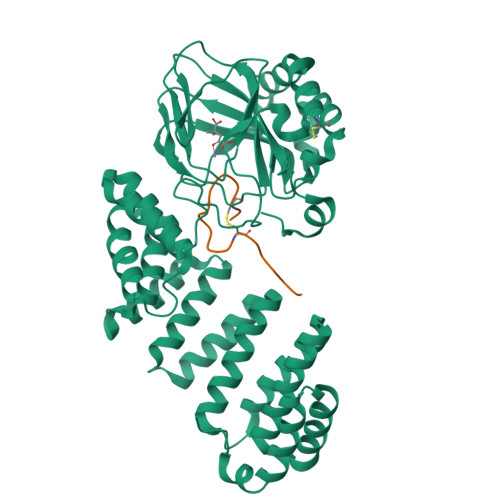 PDB 6YYY | Chain ASPARTYL/ASPARAGINYL BETA-HYDROXYLASE (ASPH) OXYGENASE ...