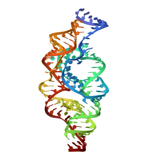RCSB PDB - 2Z74: T. tengcongensis glmS ribozyme bound to glucose-6 ...
