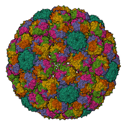 RCSB PDB - 6ZML: CryoEM Structure of Merkel Cell Polyomavirus Virus ...
