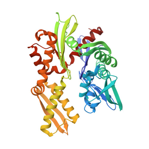 RCSB PDB - 6ZYJ: Crystal structure of Hsc70 ATPase domain in complex ...