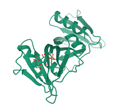 RCSB PDB: Homepage