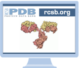 RCSB PDB: Homepage